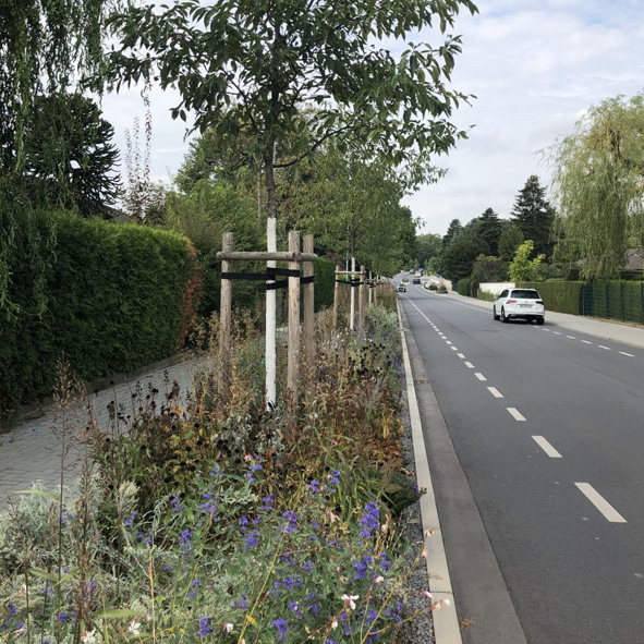 Götzenhain – G1-Hainer Weg - DLB Dreieich